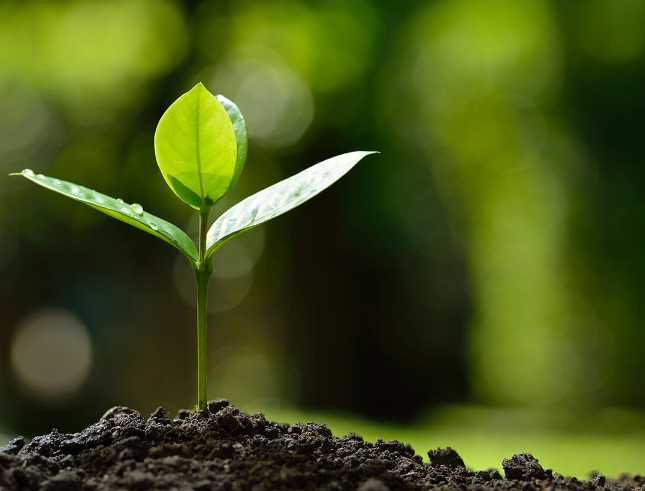 The Hidden Benefits of SSP Fertilizer Plants You Didn’t Know About ...