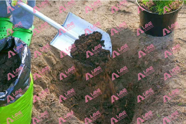 Building Better Farms: The Impact of Calcium Phosphate Organic ...